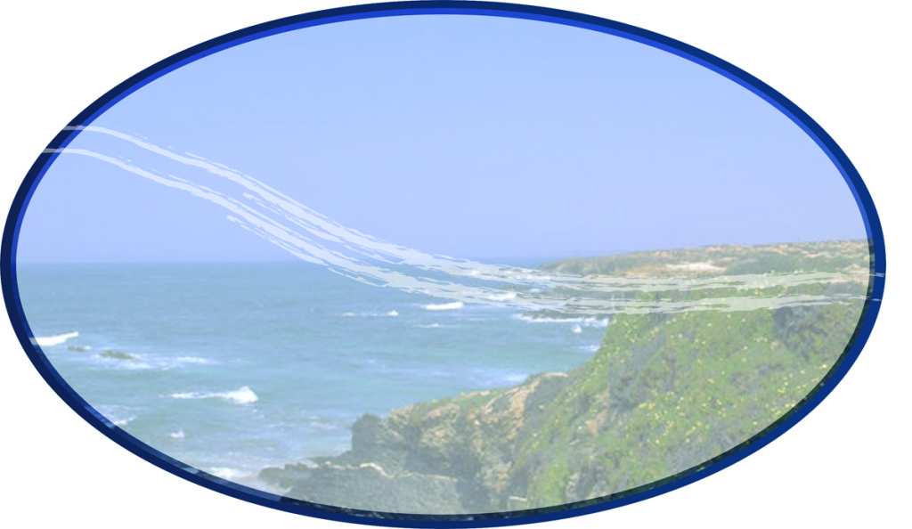 Natures-Own-Source-Ocean-Oval-flat.jpg